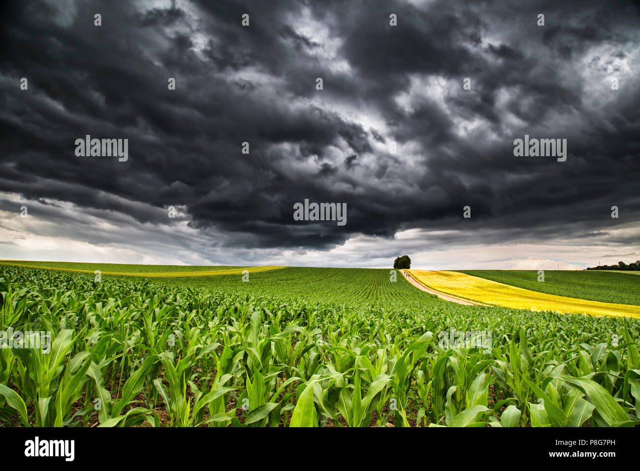 Thunderstorm and dark clouds over fields Stock Photo - Alamy