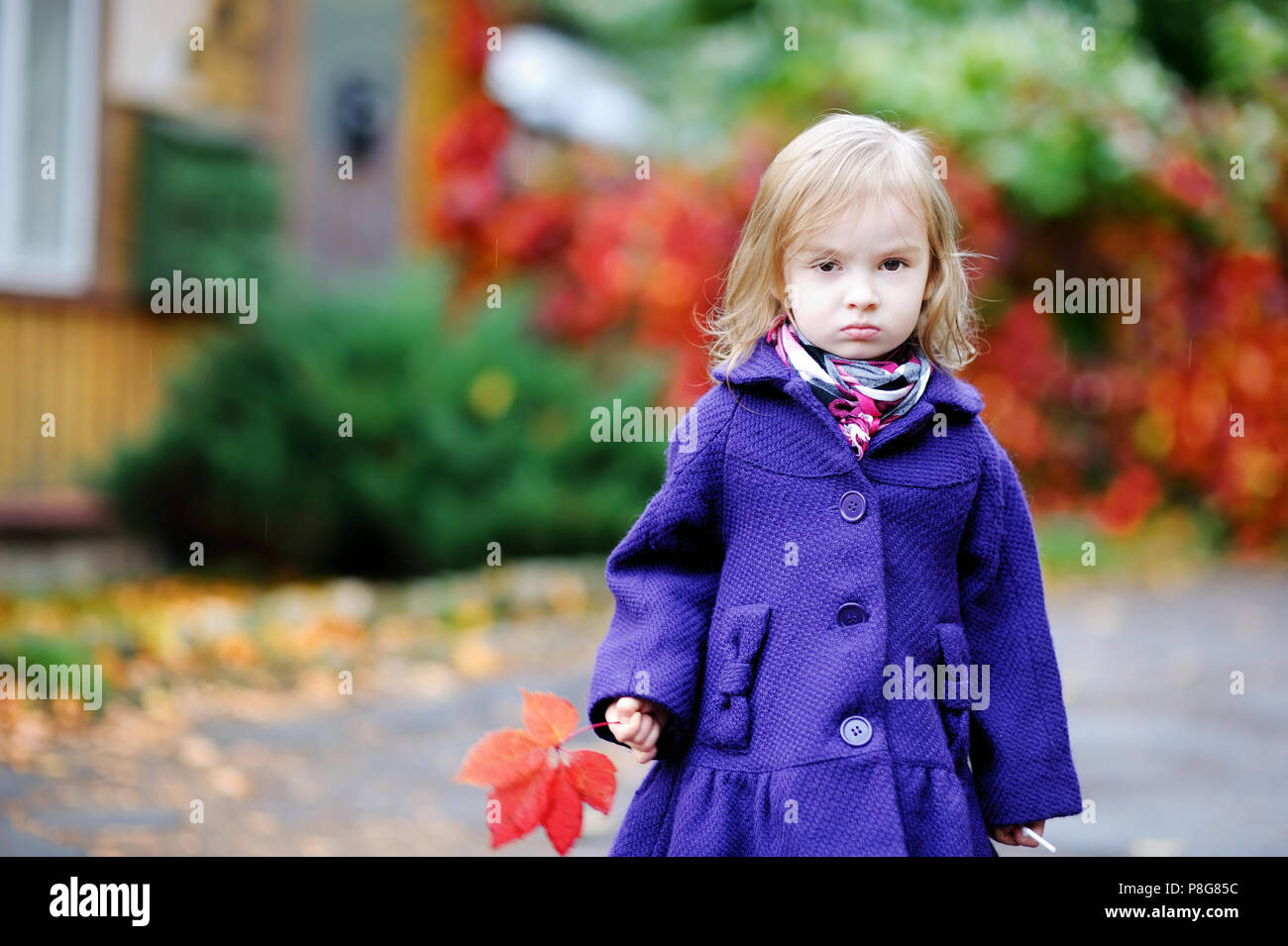 Little girl in a blue coat at autumn Stock Photo - Alamy
