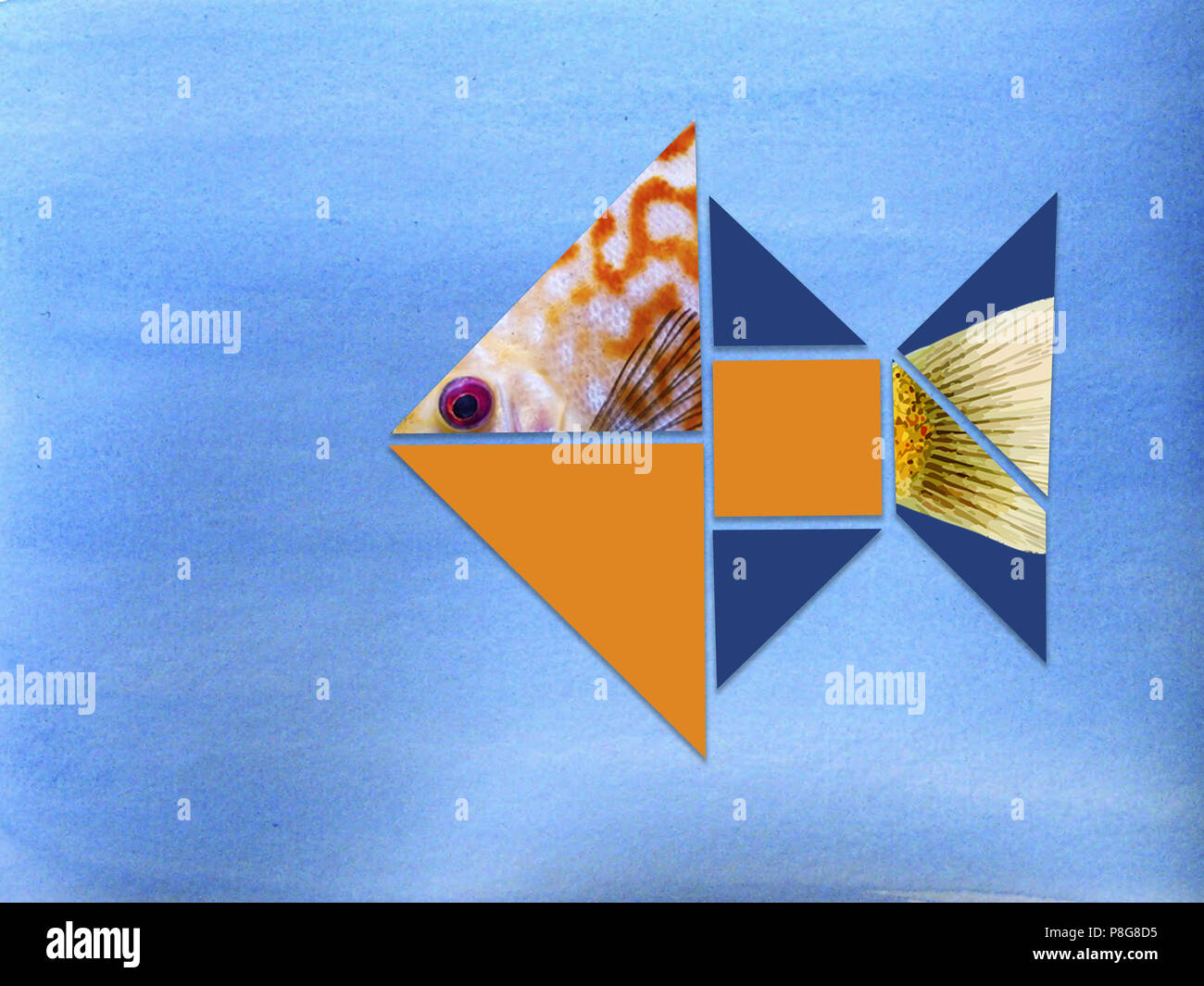 Tangram High Resolution Stock Photography and Images - Alamy