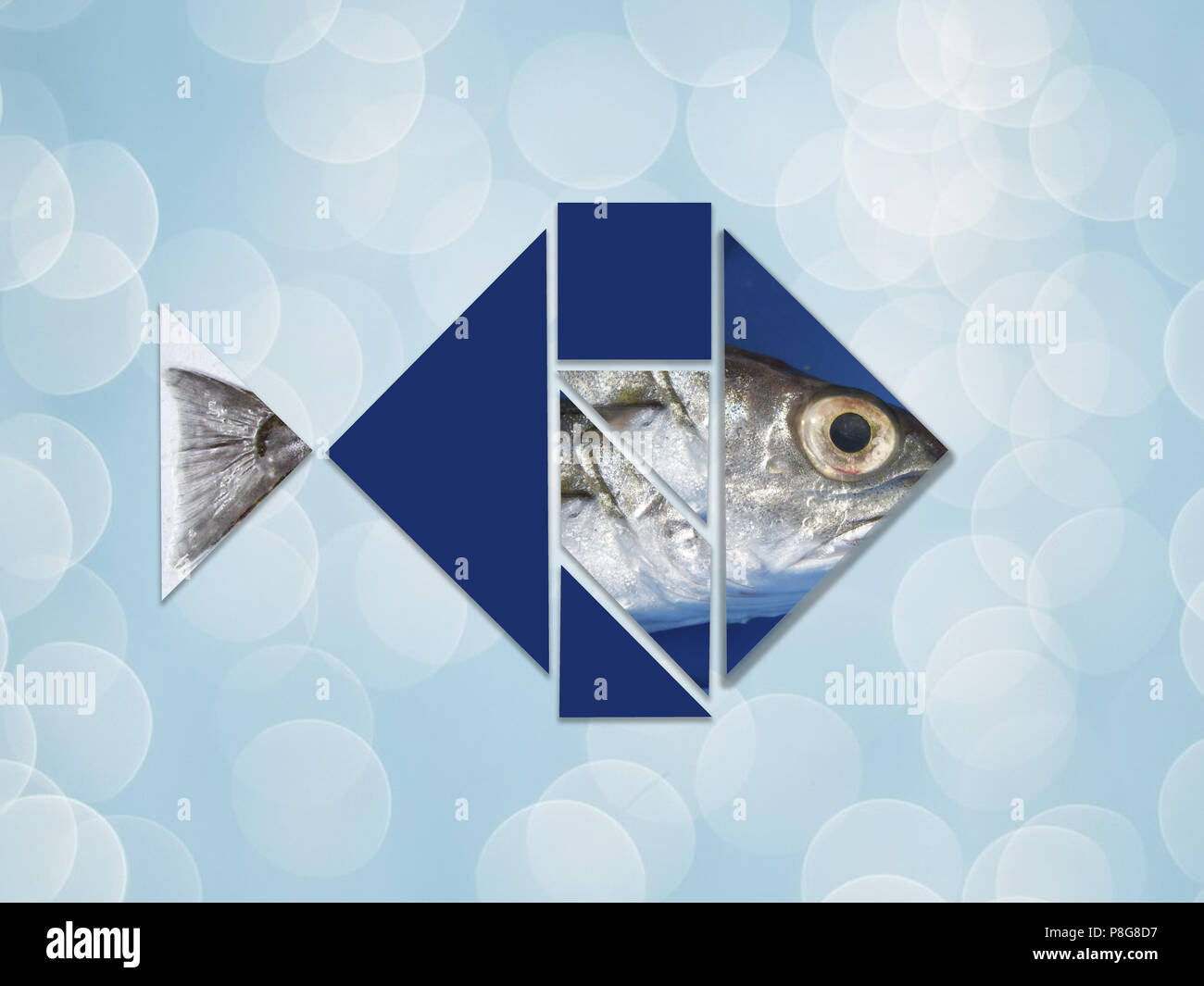 Fish-shaped figure created with the pieces of the game Tangram Stock ...