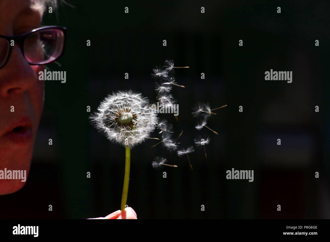 Woman dandelion clock hi-res stock photography and images - Alamy