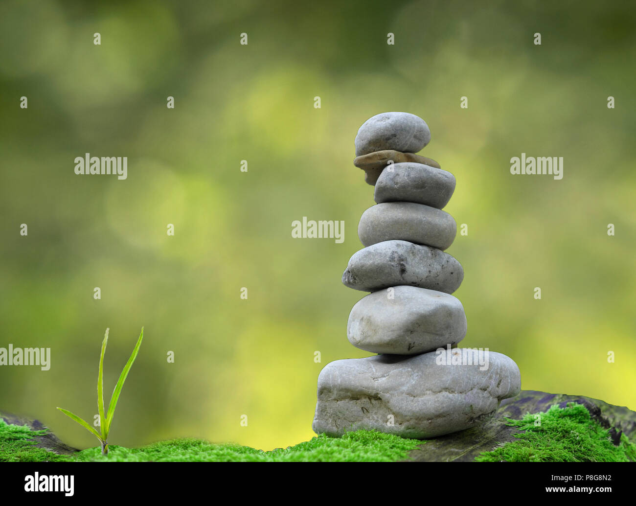 Zenmeditation hi-res stock photography and images - Alamy