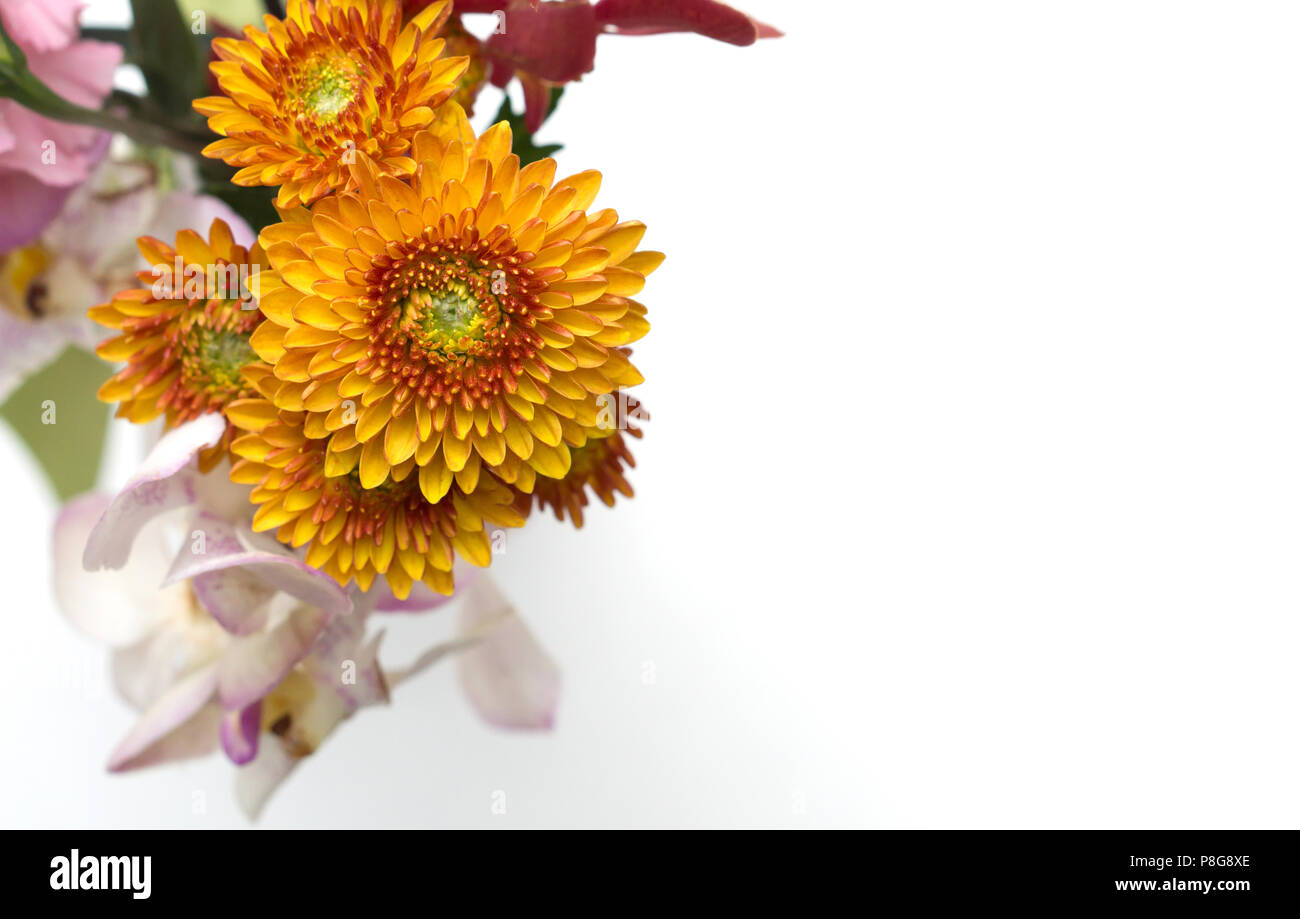 Colorful flower bouquet arrangement isolated on white background Stock ...