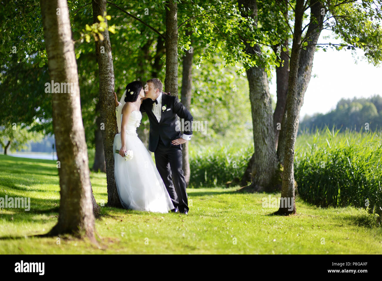Beautiful bride and groom by a tree Stock Photo - Alamy