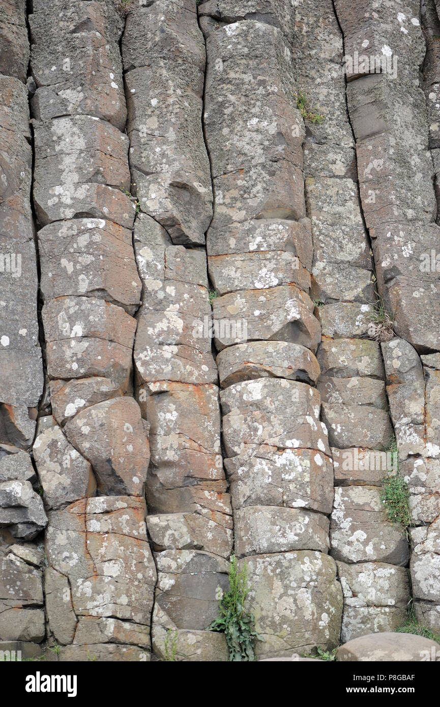 Eroded and weathered polygonal basalt columns in the cliffs above the ...