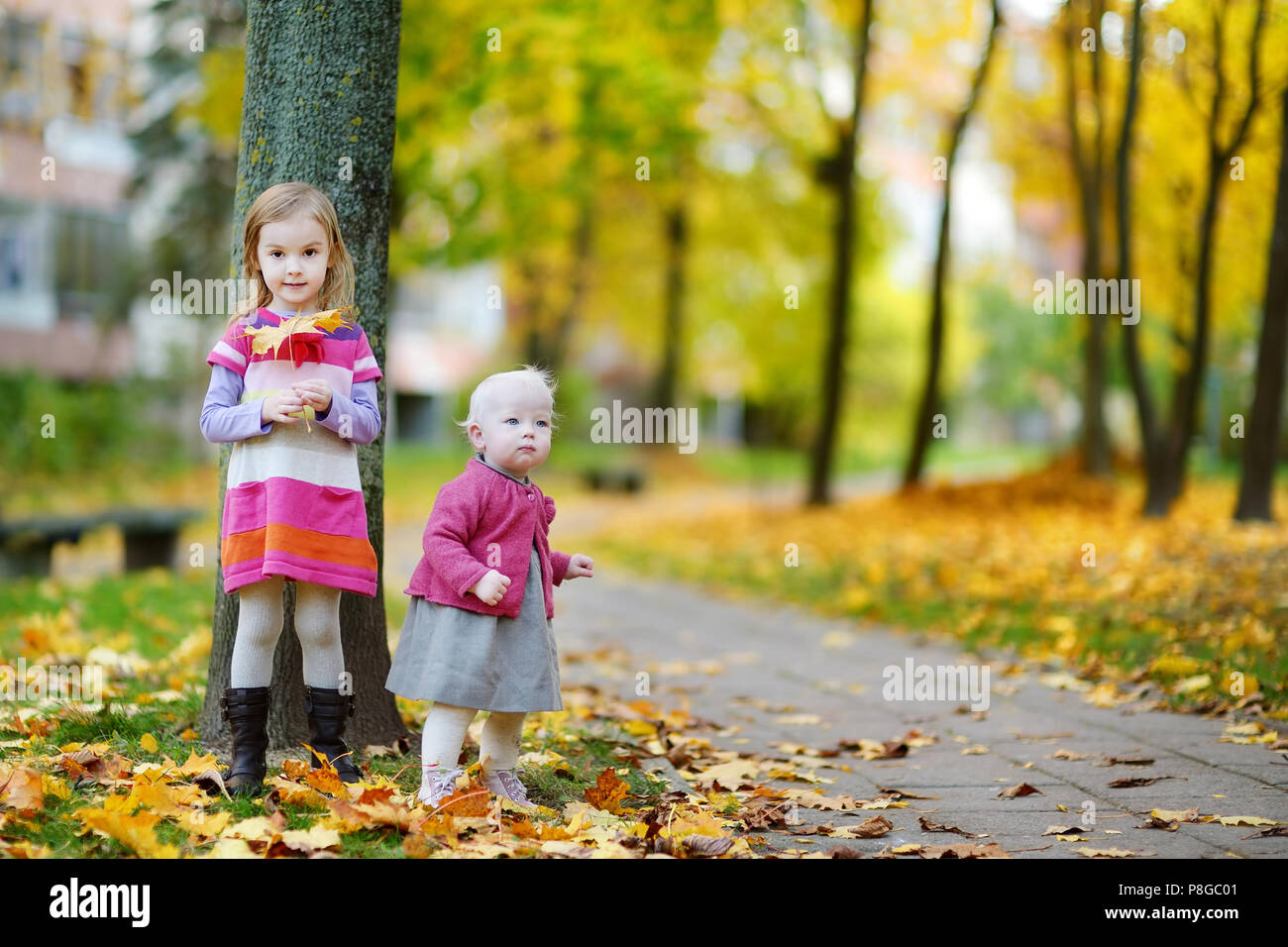 Two sisters on a beautiful day in autumn Stock Photo - Alamy