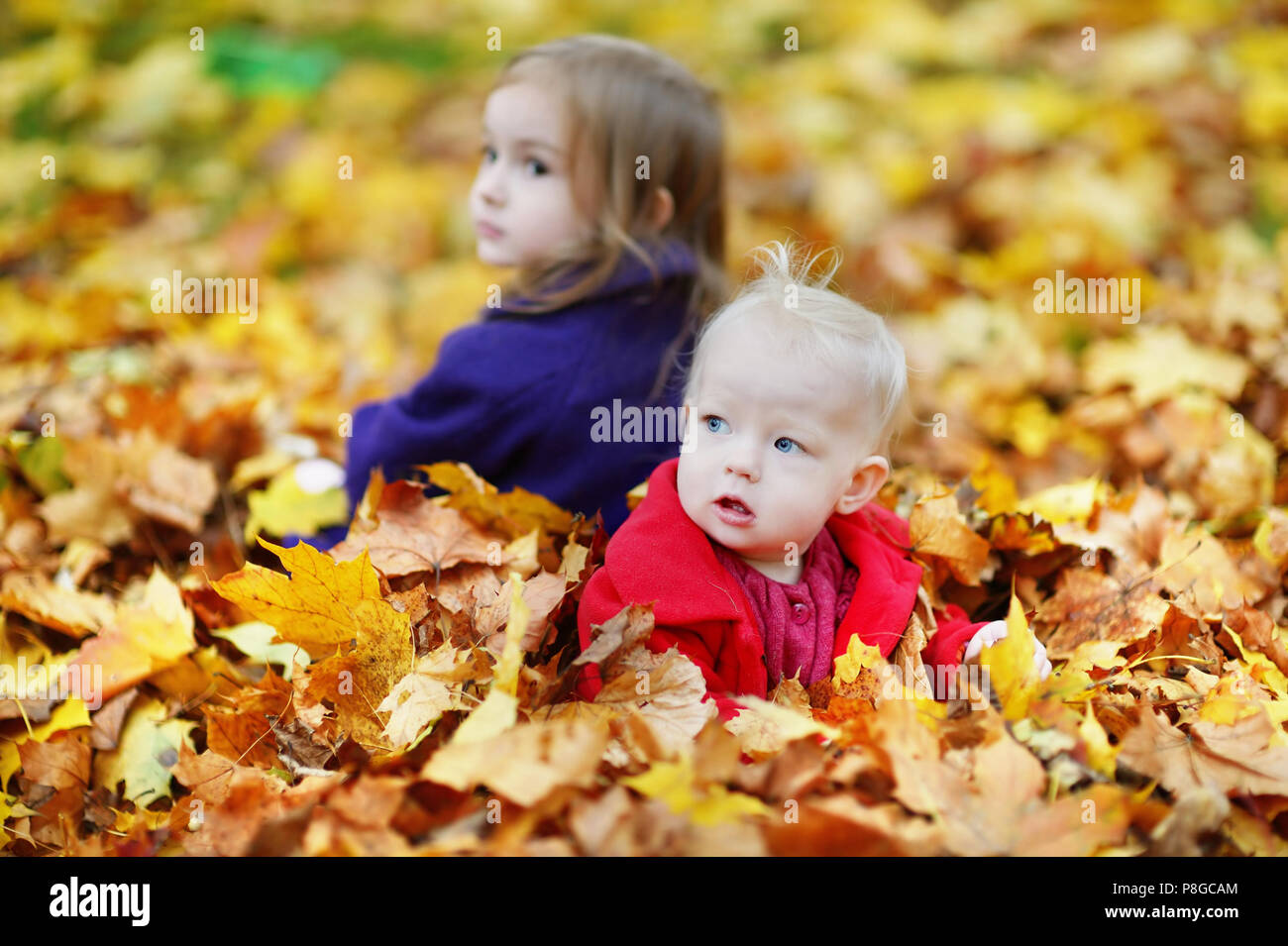 Children playing in foliage on beautiful autumn day Stock Photo - Alamy