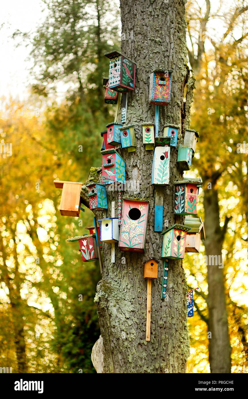 Lots of colorful nesting boxes on a tree Stock Photo - Alamy