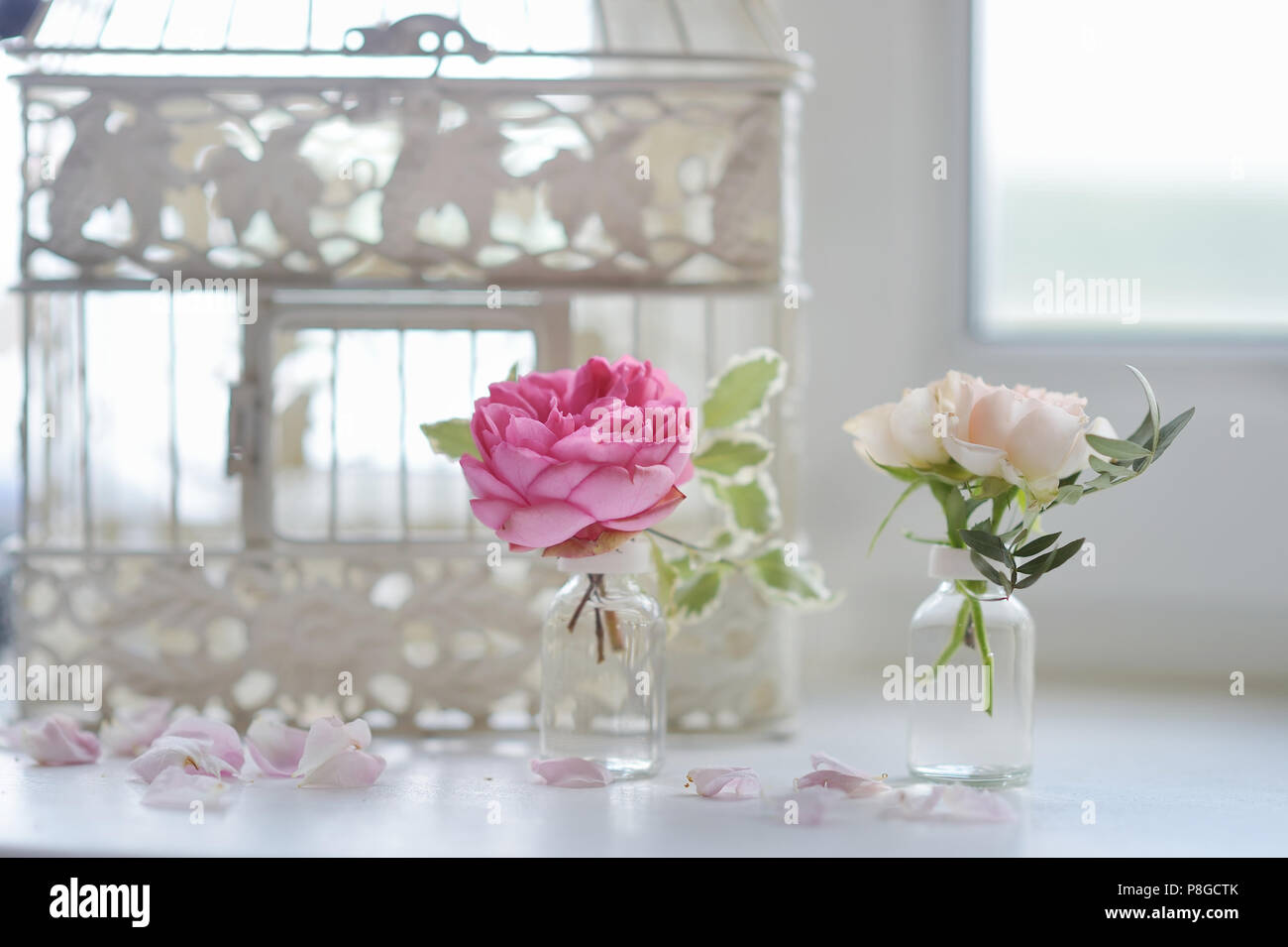 Roses in vases hi-res stock photography and images - Alamy