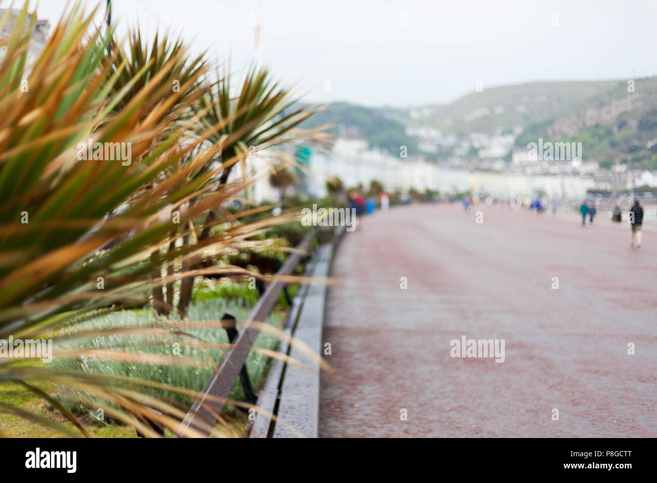 Walkway around park. Pathway for walking and jogging. People walking on ...