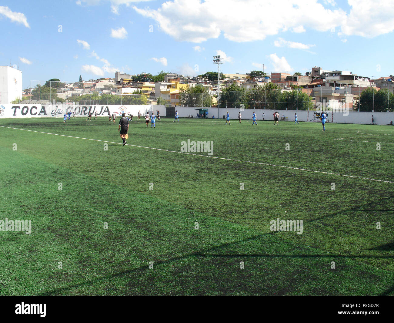 Person, linesman, arbitration, football field, São Paulo, Brazil Stock ...