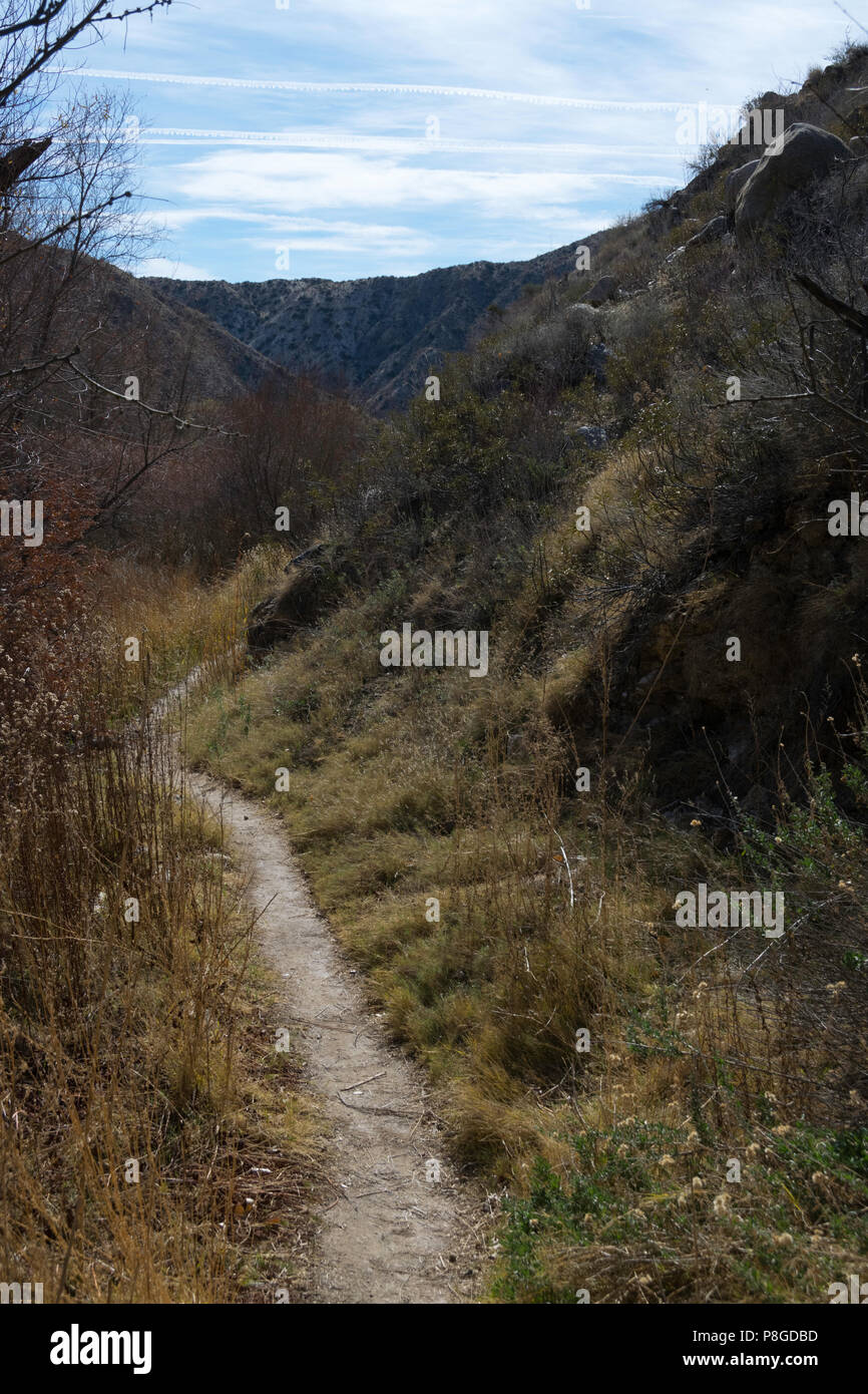 Footpath hiking trail at Big Morongo Canyon Preserve Stock Photo - Alamy