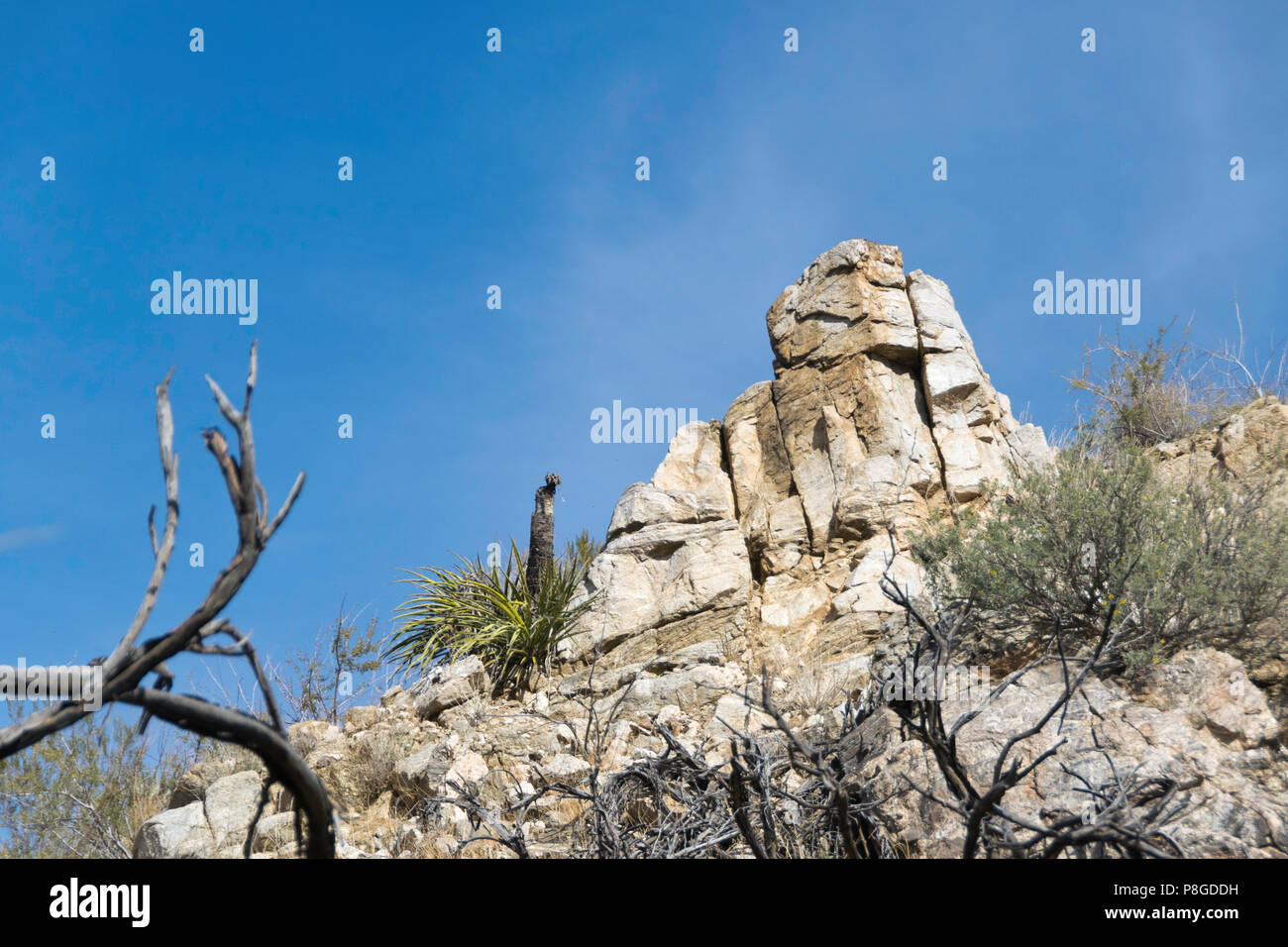 Rock formation towering above the hike Stock Photo - Alamy