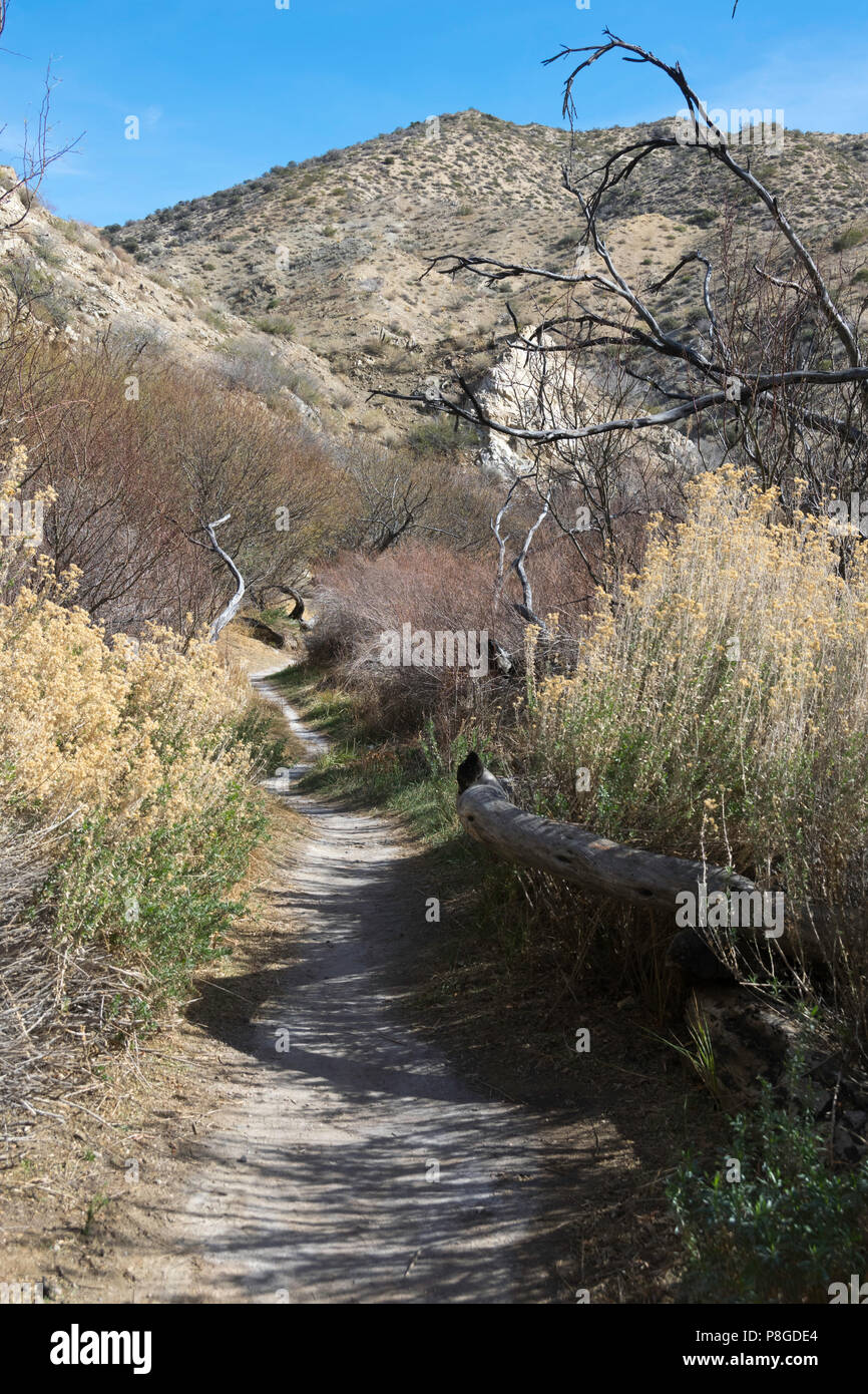 Big morongo canyon hi-res stock photography and images - Alamy