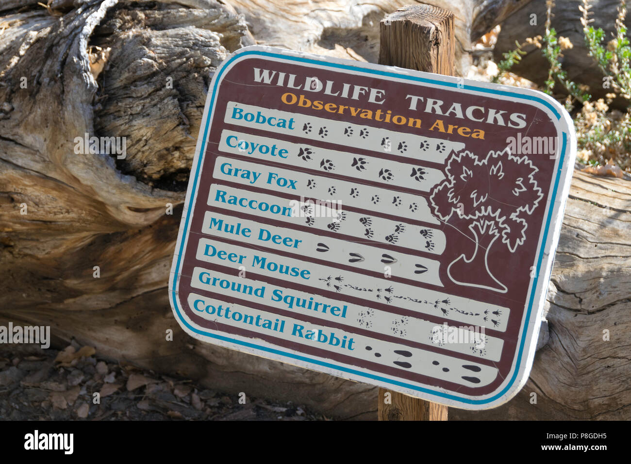 Interpretive displays along the hiking trail Stock Photo - Alamy