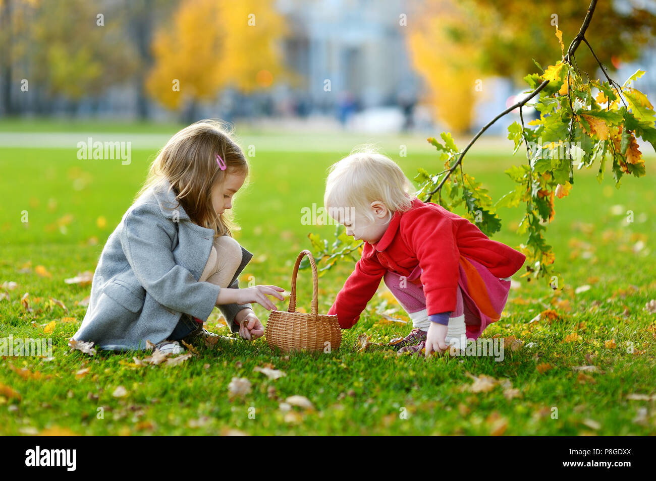 Little girls gathering acorns for crafting and playing Stock Photo - Alamy