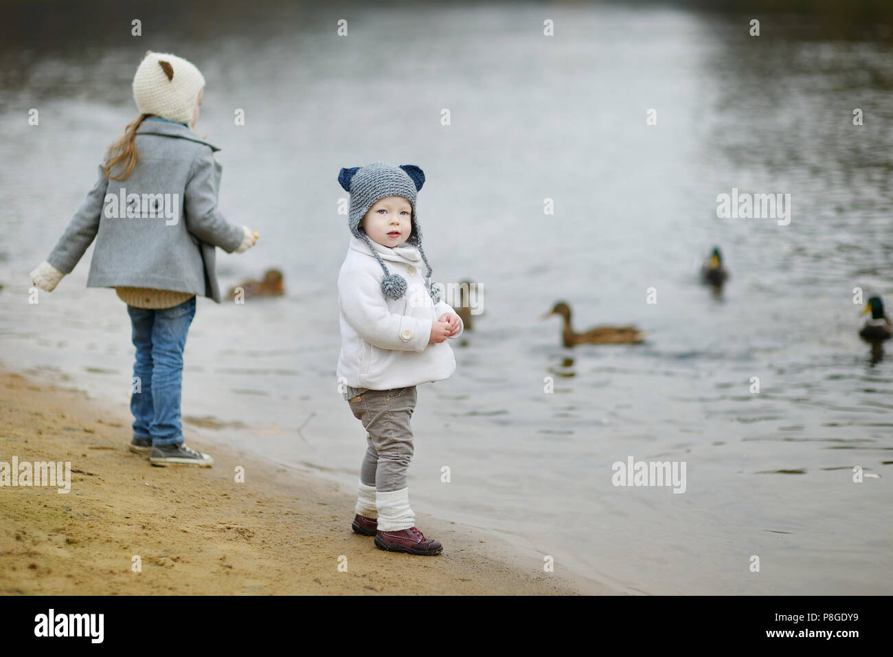 Two little ducks hi-res stock photography and images - Alamy