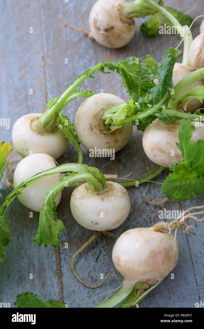 Washed turnips hi-res stock photography and images - Alamy