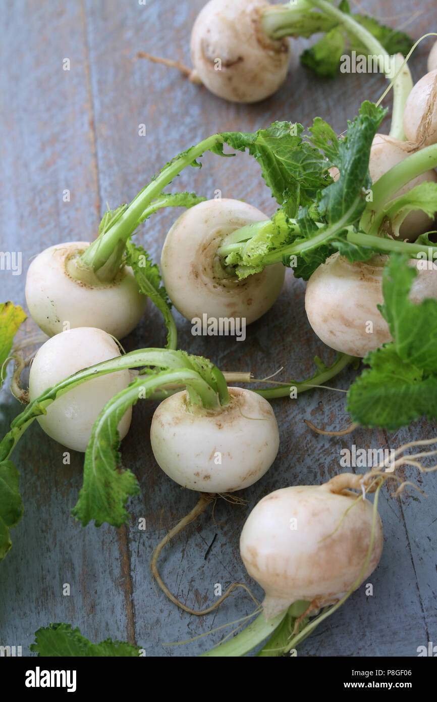 Washed turnips hi-res stock photography and images - Alamy