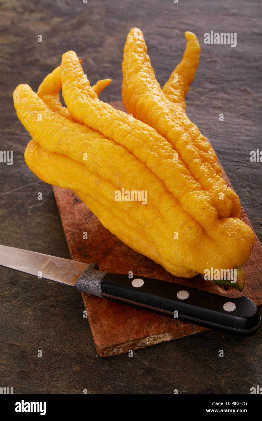 buddhas hand citrus fruit Stock Photo - Alamy