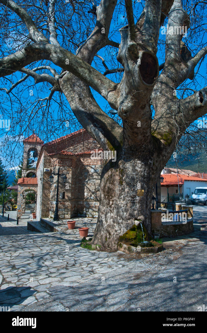 europe; greece; peloponnese; korinthia; feneos; steno, village Stock ...