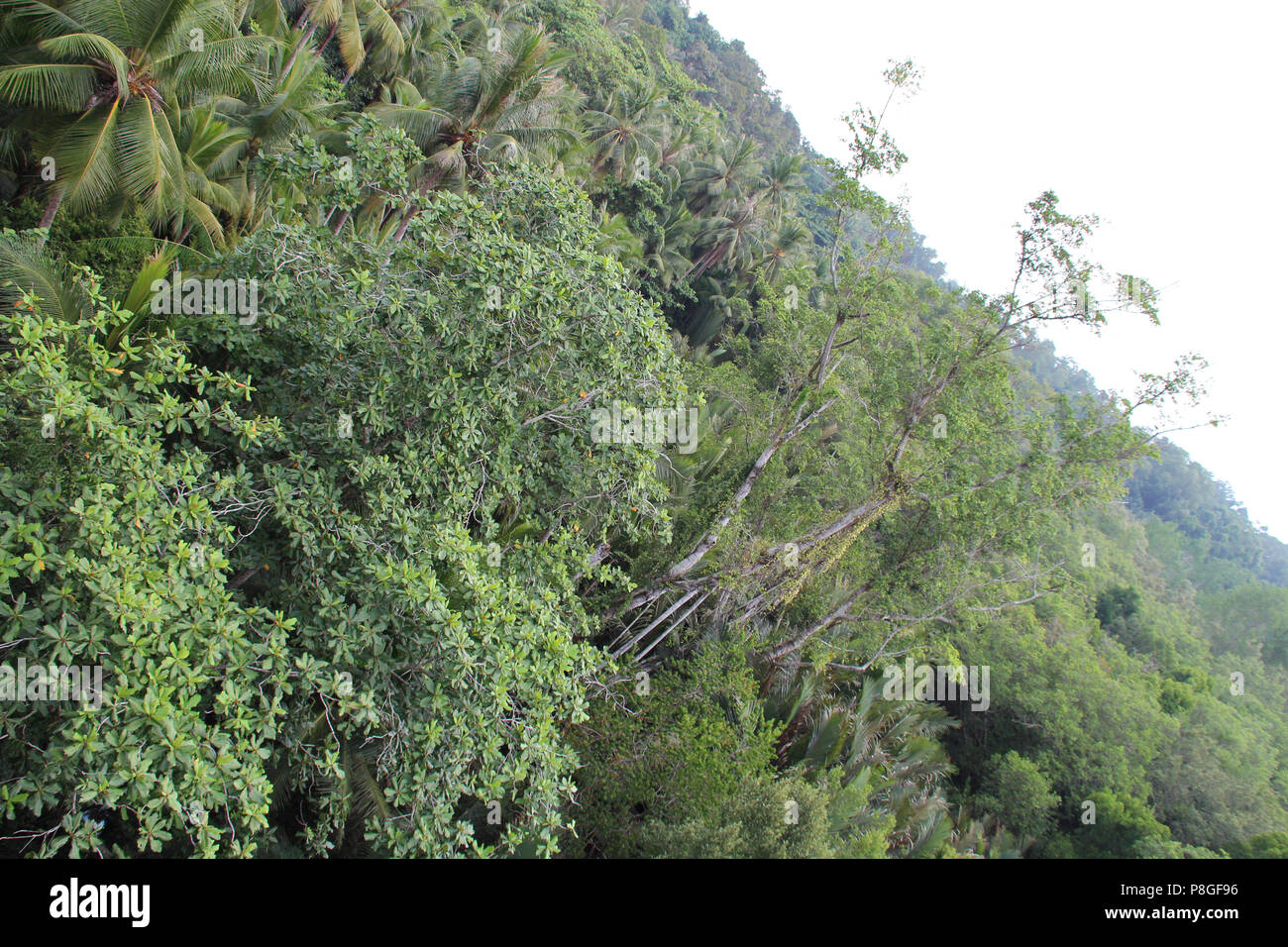 The Chek Jawa Wetlands on Pulau Ubin in Singapore Stock Photo - Alamy