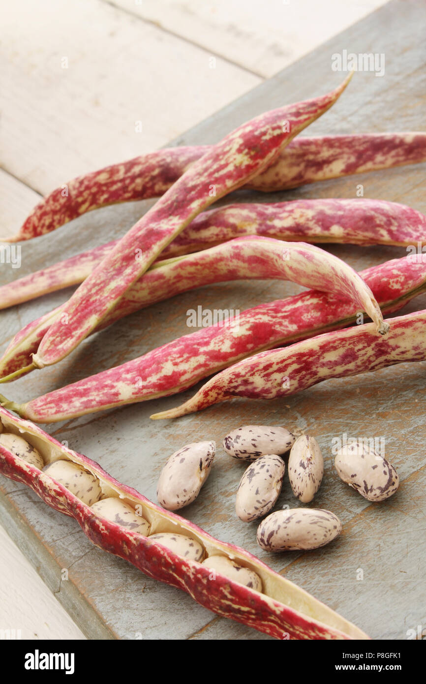 Berlotti beans hi-res stock photography and images - Alamy