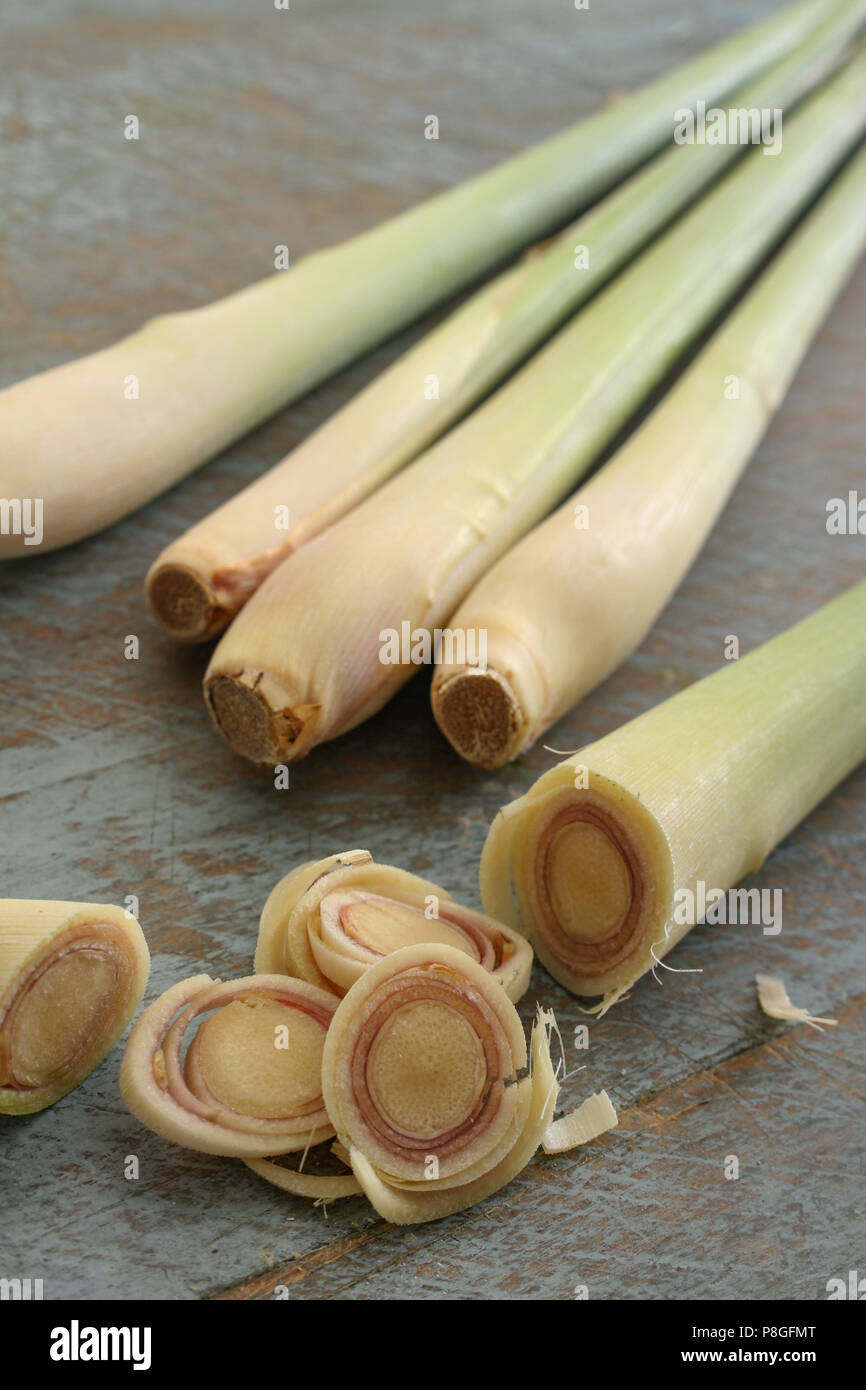 Stalks Lemon Grass High Resolution Stock Photography and Images - Alamy