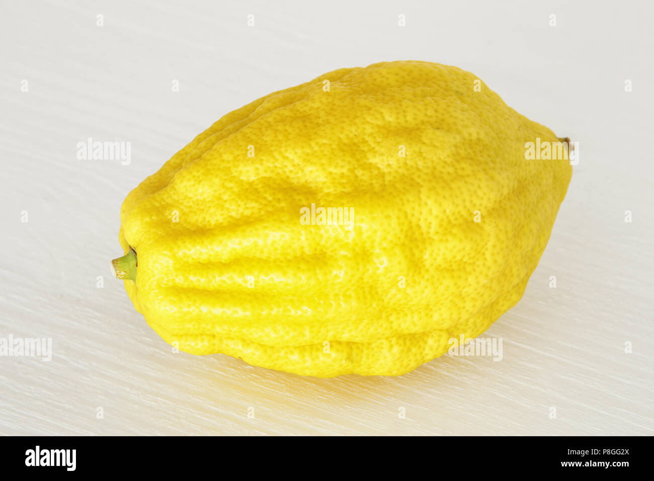 Jewish festival of Sukkot. Etrog (Lemon)Traditional symbol (One of The ...