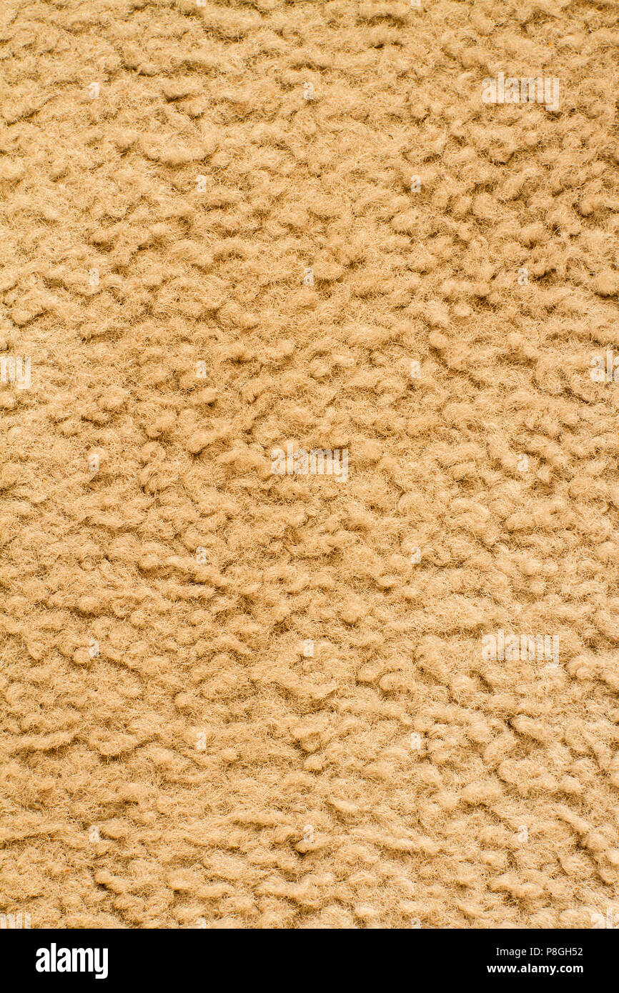 Top down view of carpet that has seen a little wear but still in decent ...