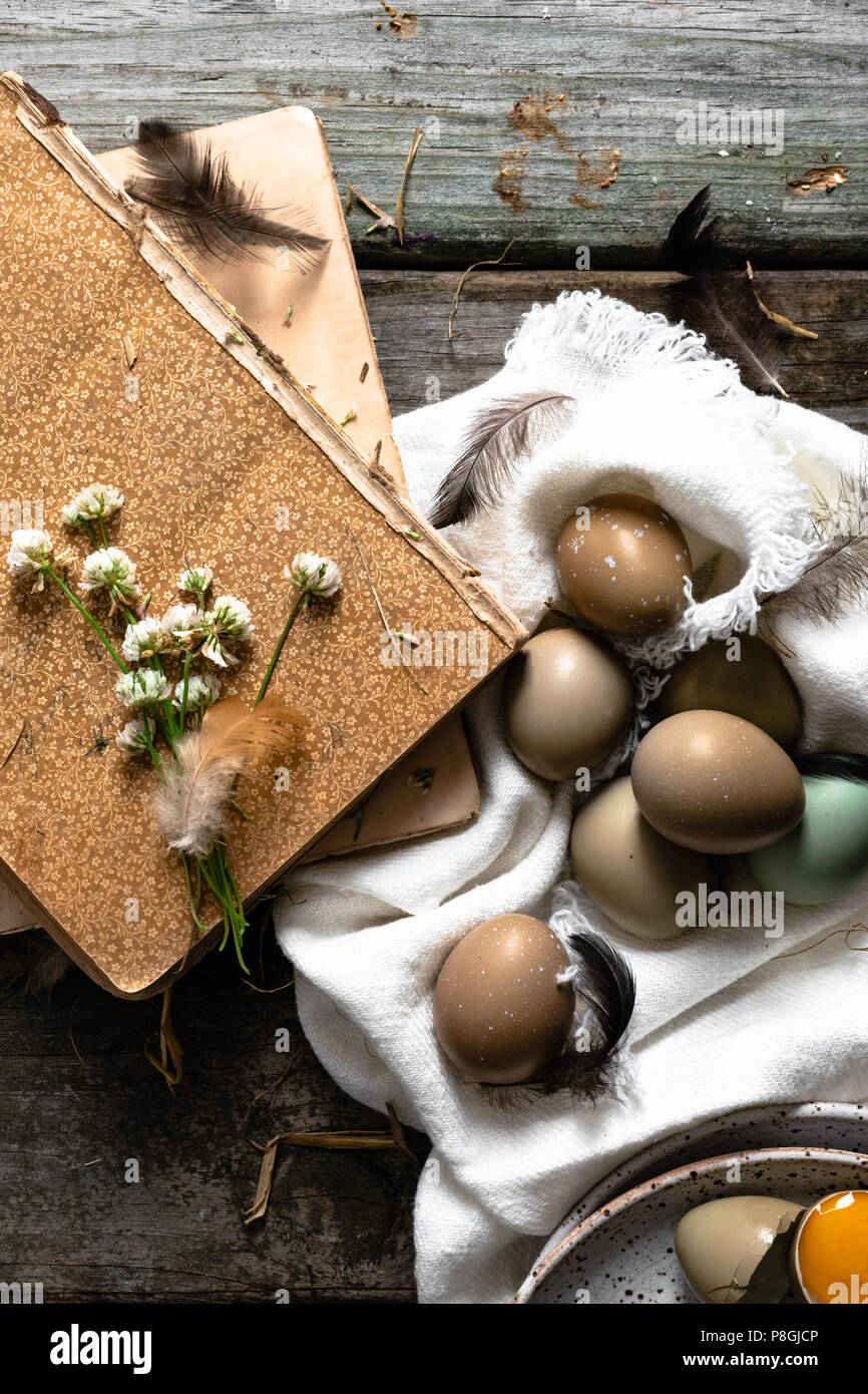 Pheasant game table hi-res stock photography and images - Alamy