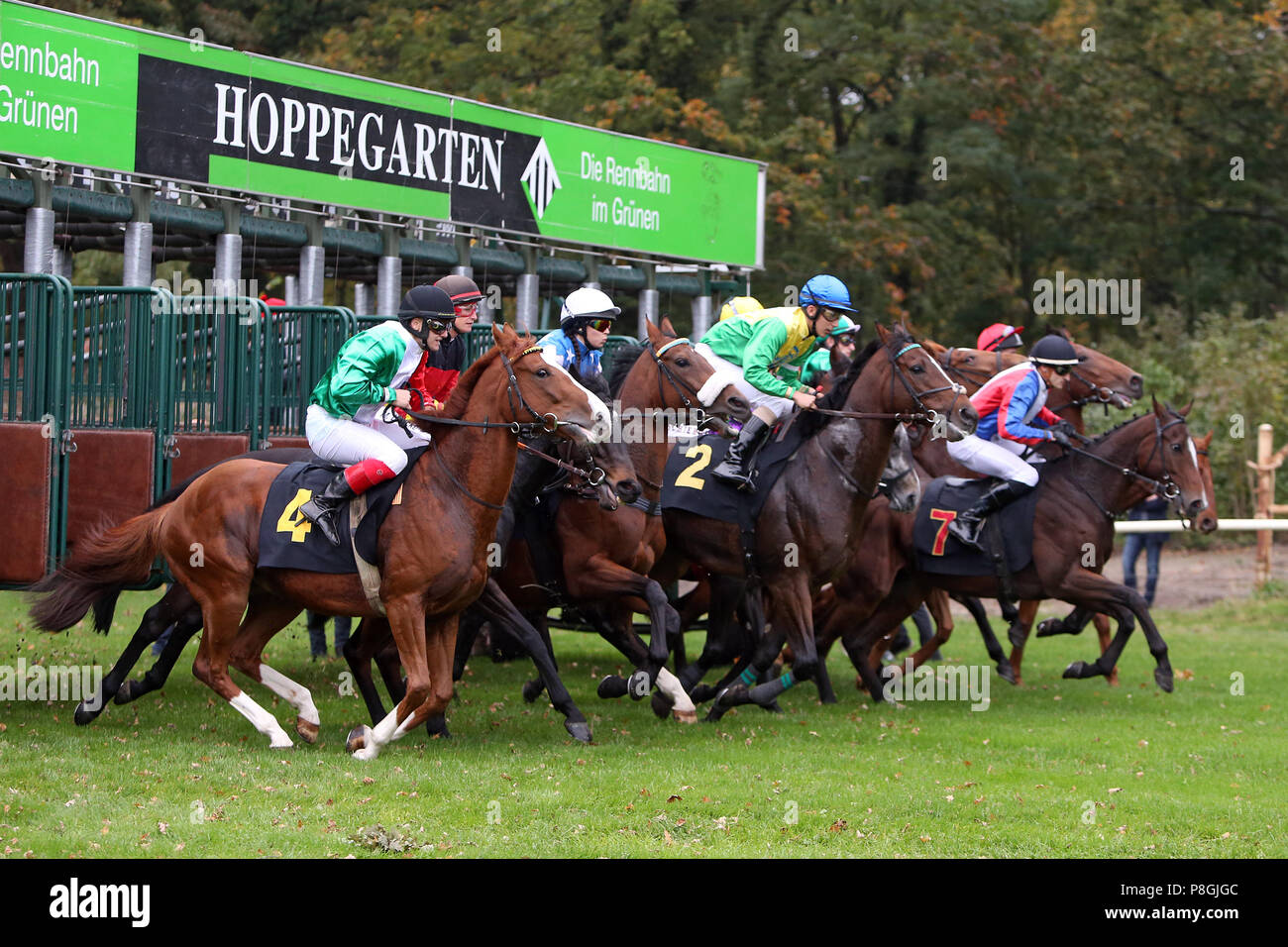 Germany gallop hi-res stock photography and images - Alamy