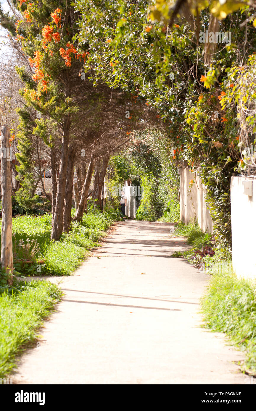 Garden avenue tree private hi-res stock photography and images - Alamy