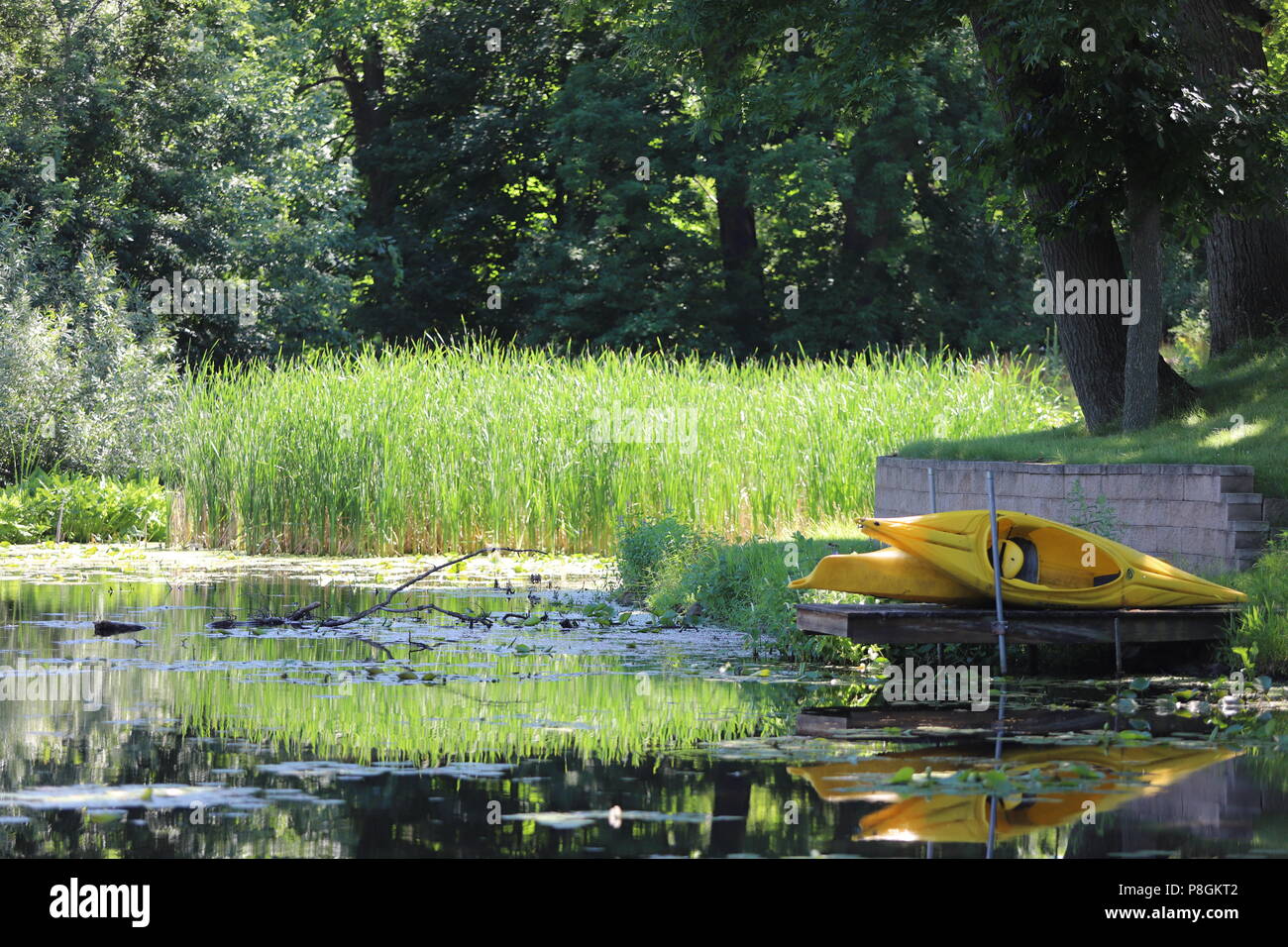 Reflections on the Pond Stock Photo - Alamy