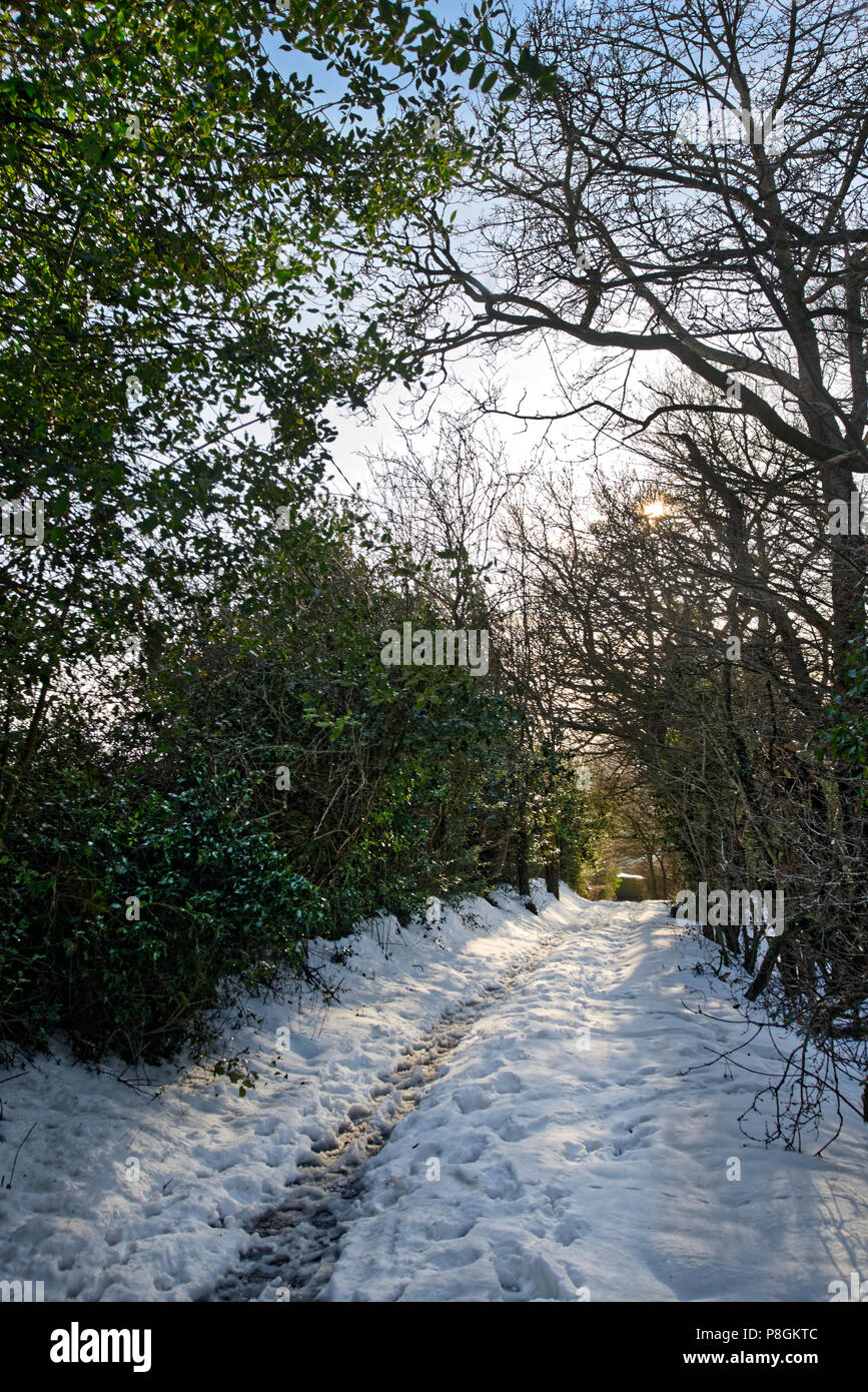 Breinton common hi-res stock photography and images - Alamy