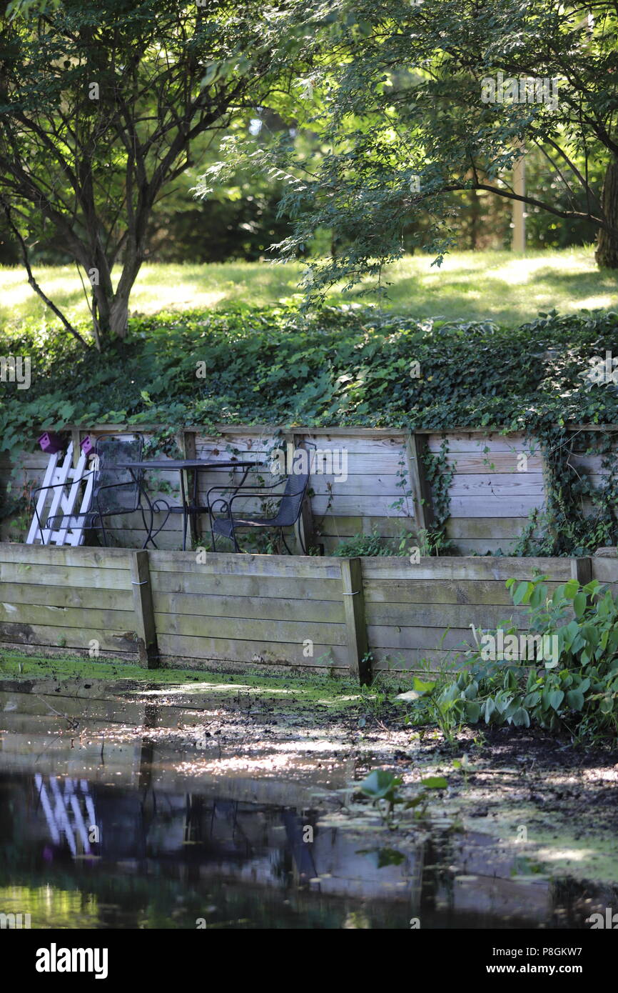 Reflections on the Pond Stock Photo - Alamy