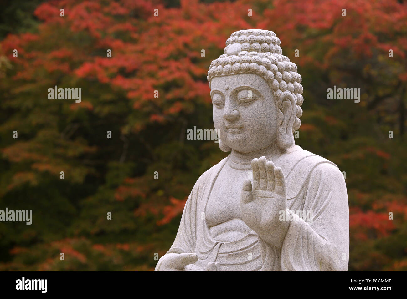 Buddha face in a tree hi-res stock photography and images - Alamy