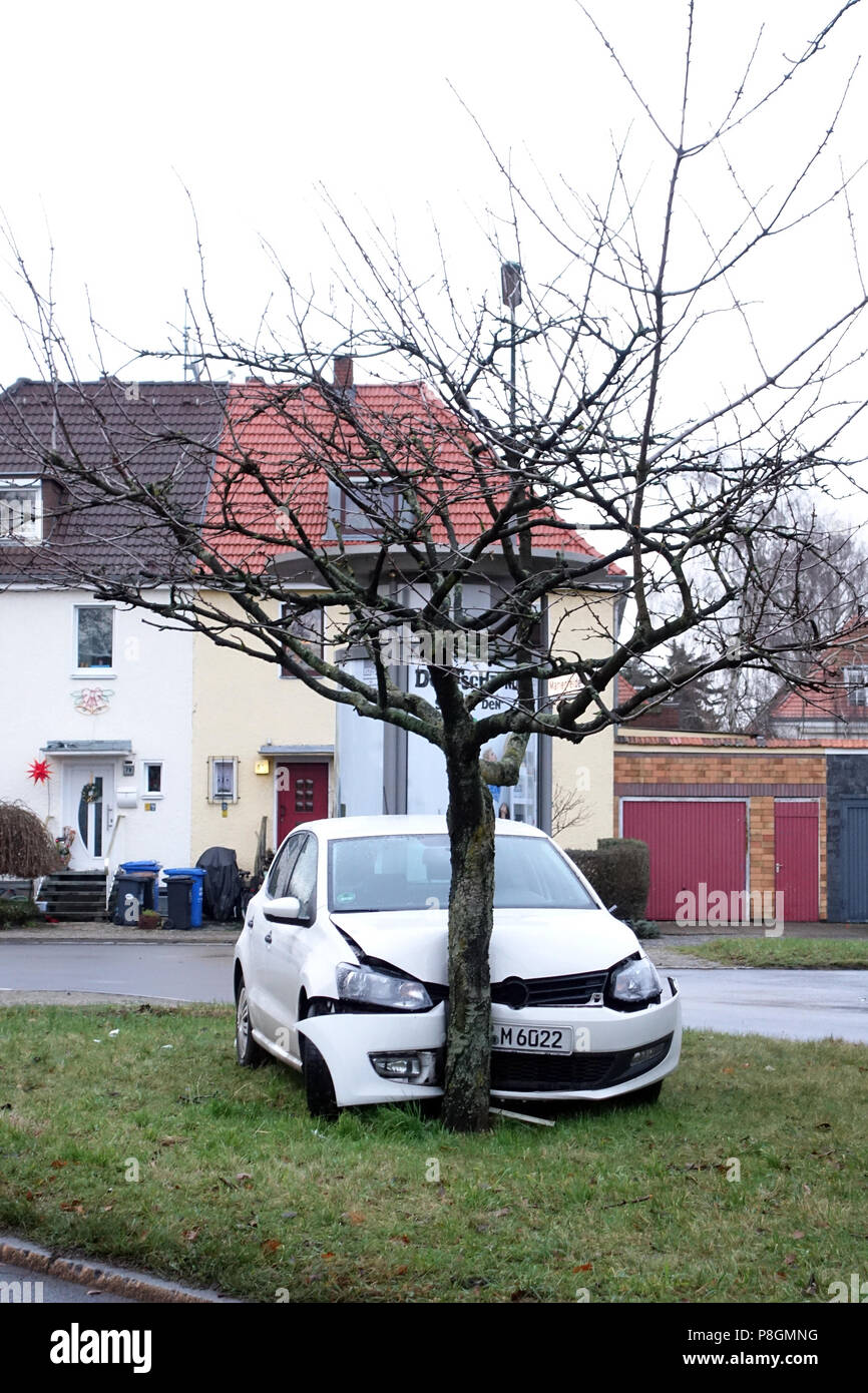 Car Against A Tree