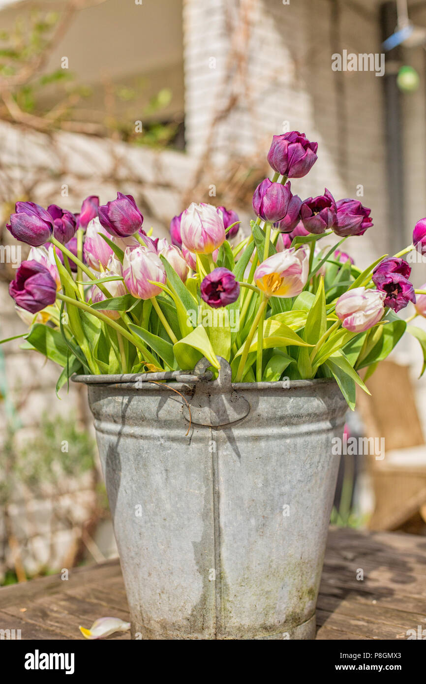 Flowers and garden bucket hi-res stock photography and images - Alamy