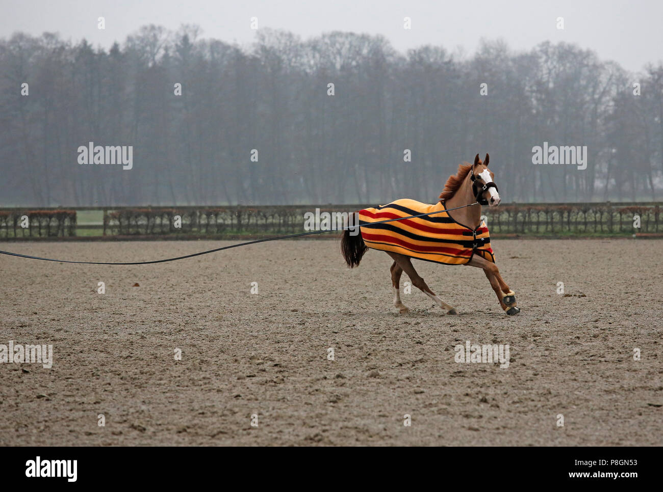 Lunged hi-res stock photography and images - Alamy