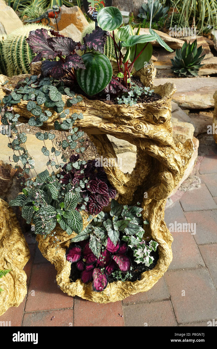 Indoor attractions hi-res stock photography and images - Alamy