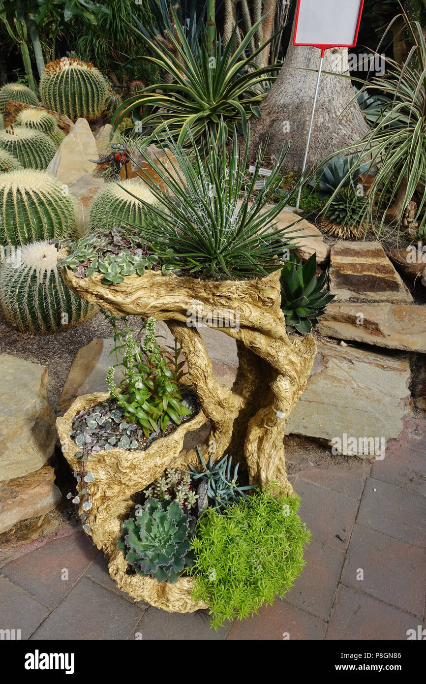 Collection of collections hi-res stock photography and images - Alamy