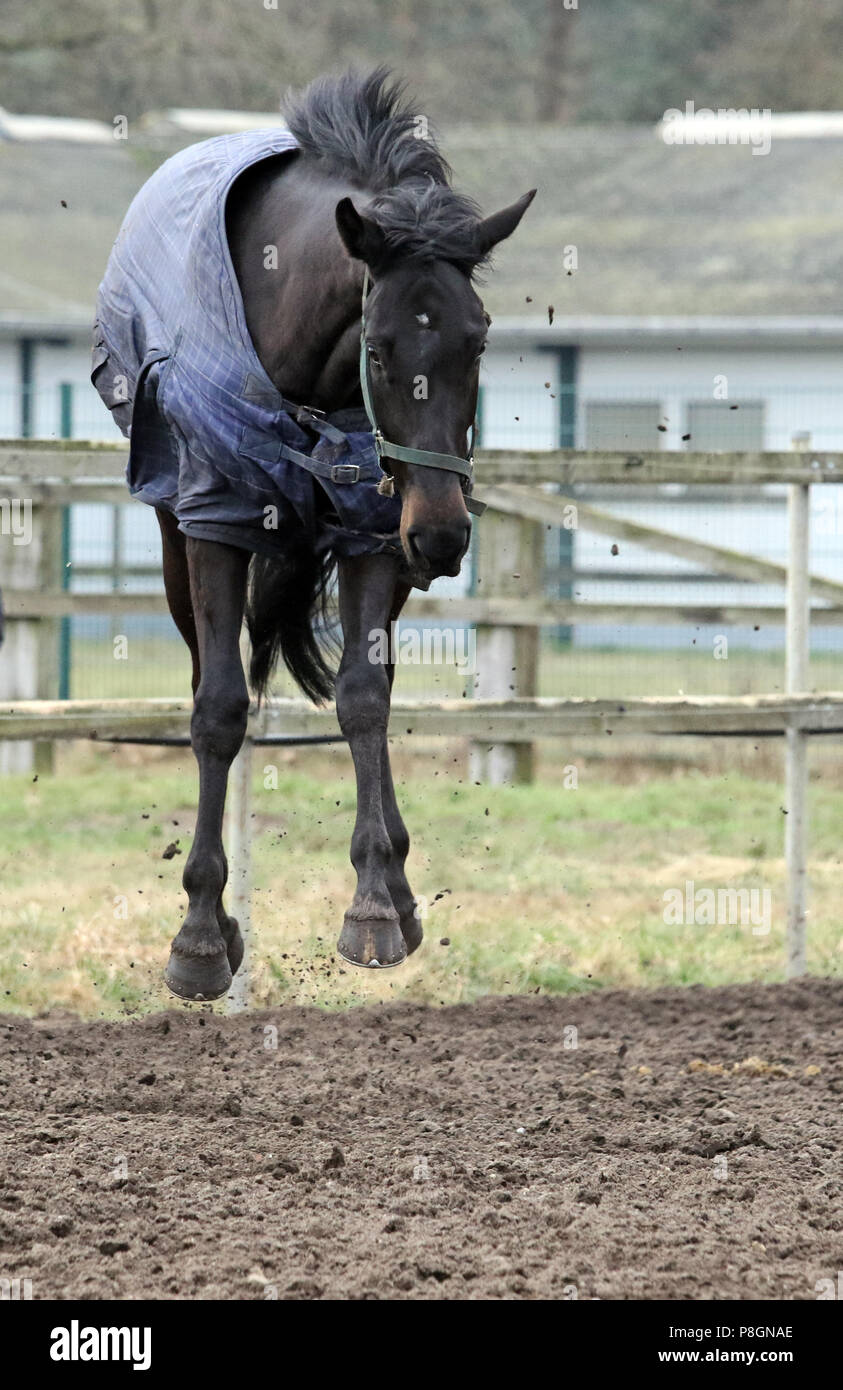 Hunched hi-res stock photography and images - Alamy