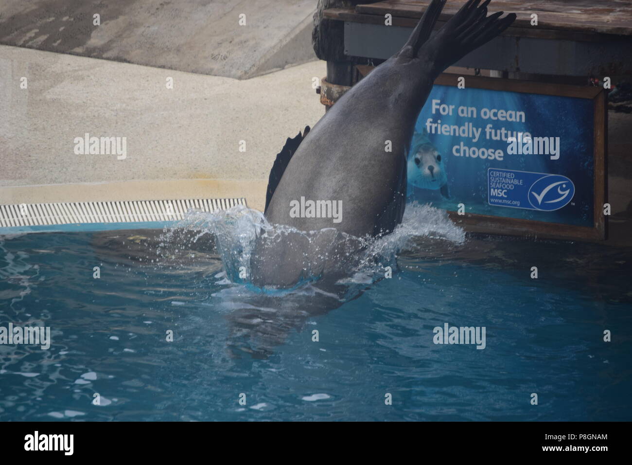 Wild animals in Zoo Stock Photo - Alamy