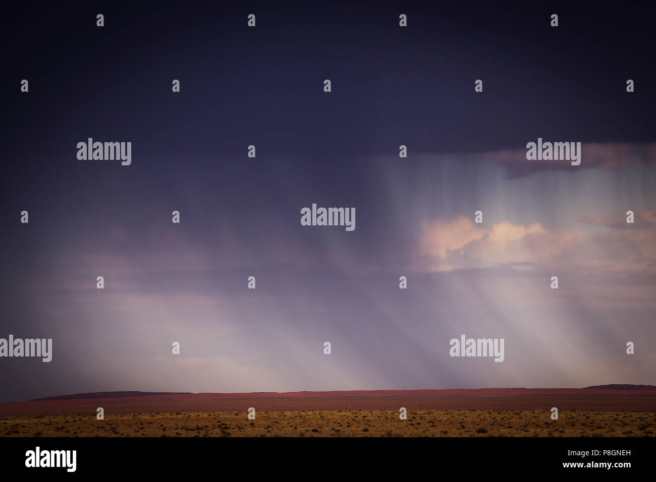 A rain storm in the Namibian desert Stock Photo - Alamy