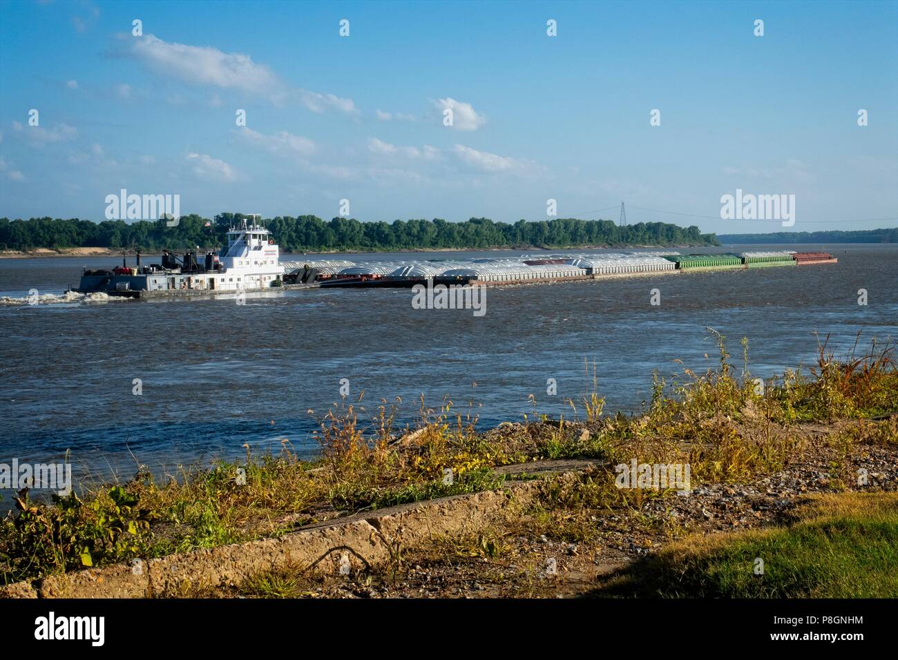 A large diesel powered towboat pushing a tain of barges down the ...