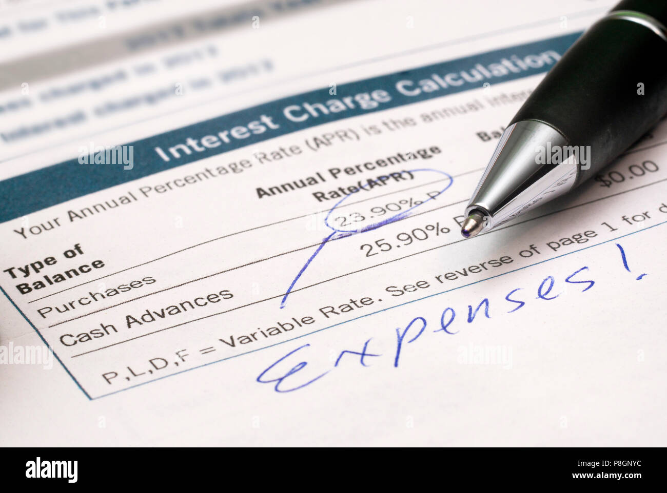 Ball Point Pen And Bank Statement With Account Information Stock Photo ...