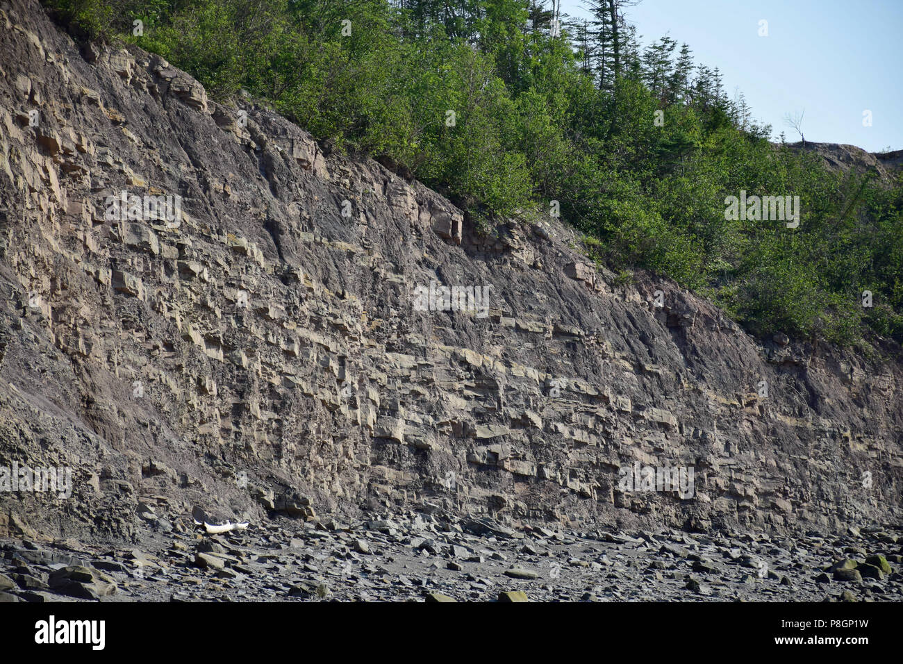 Joggins Fossil Cliffs on the Bay of Fundy in Nova Scotia, Canada’s 15th ...