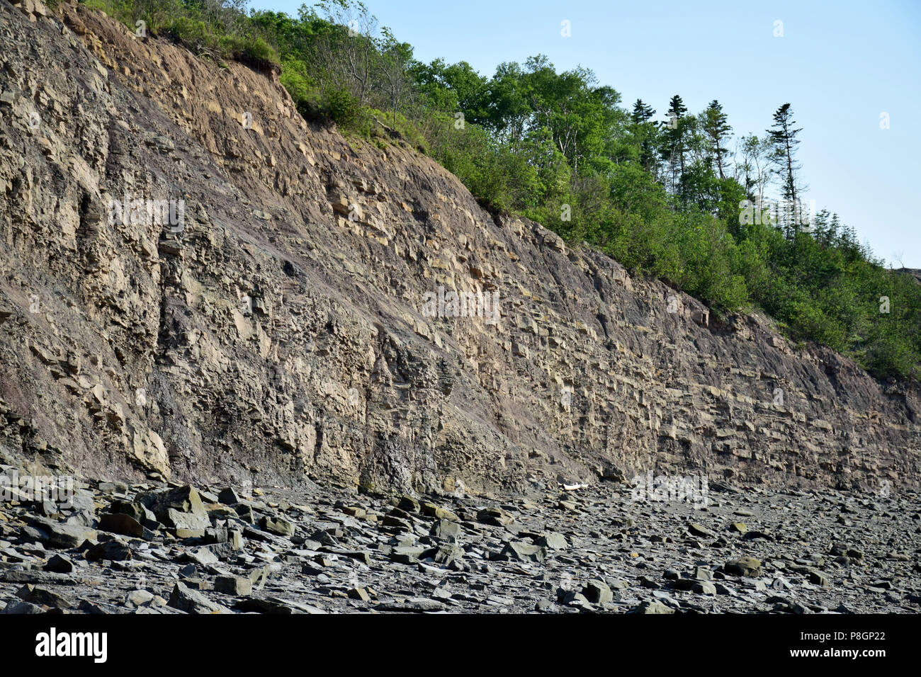 Joggins Fossil Cliffs on the Bay of Fundy in Nova Scotia, Canada’s 15th ...