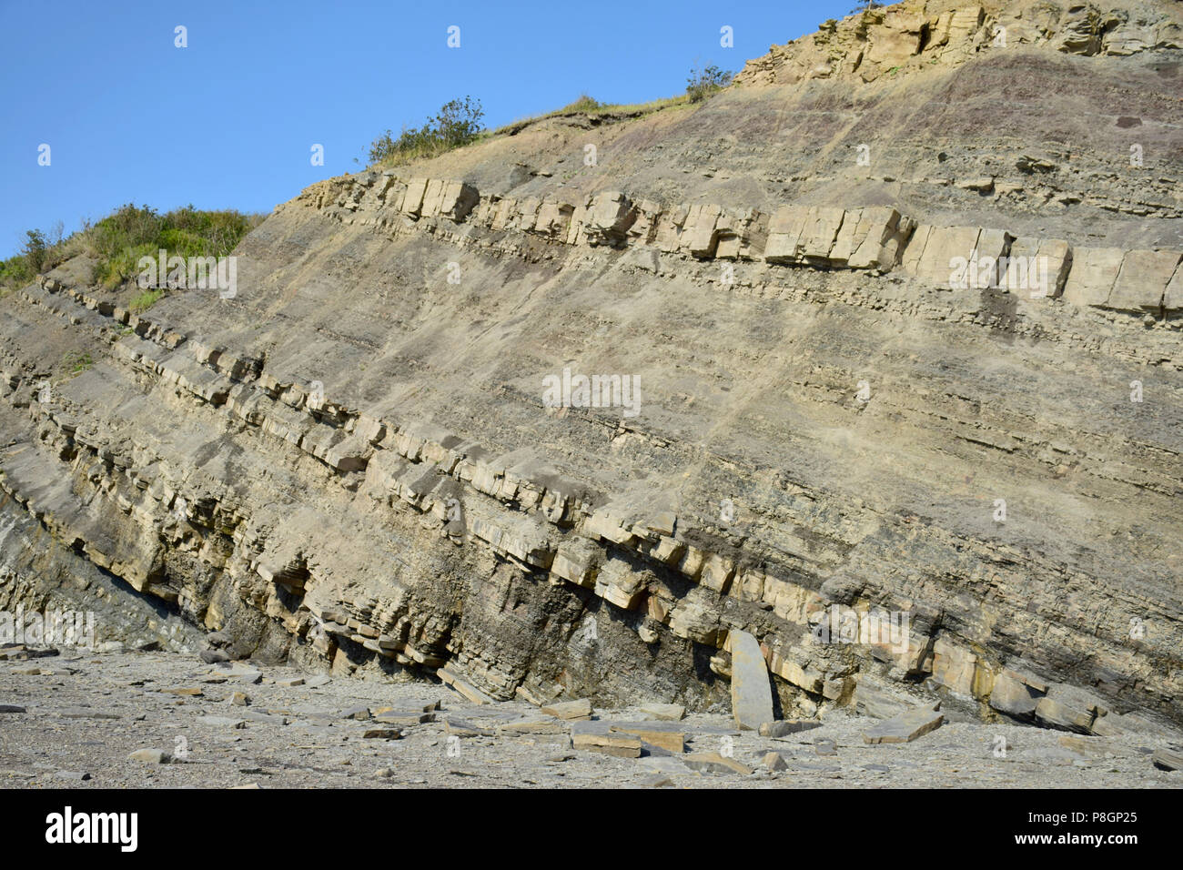 Joggins Fossil Cliffs on the Bay of Fundy in Nova Scotia, Canada’s 15th ...